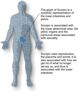 Scorpio Astrology Sun Sign